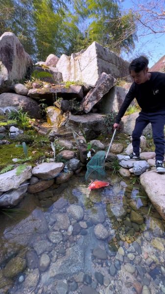 高密度养殖一亩地养6万斤鱼_可行吗-第3张图片-山城妙识