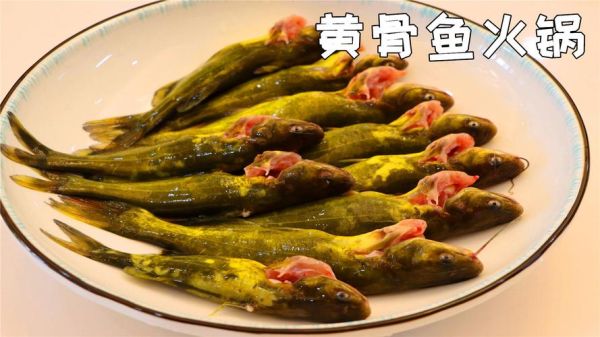 黄骨鱼图片怎么拍_黄骨鱼高清图哪里找-第2张图片-山城妙识