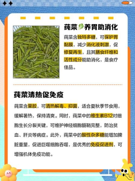 莼菜有什么功效_莼菜怎么吃最养生-第1张图片-山城妙识 莼菜有什么功效_莼菜怎么吃最养生-第1张图片-山城妙识