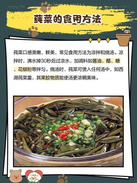莼菜有什么功效_莼菜怎么吃最养生-第2张图片-山城妙识 莼菜有什么功效_莼菜怎么吃最养生-第2张图片-山城妙识