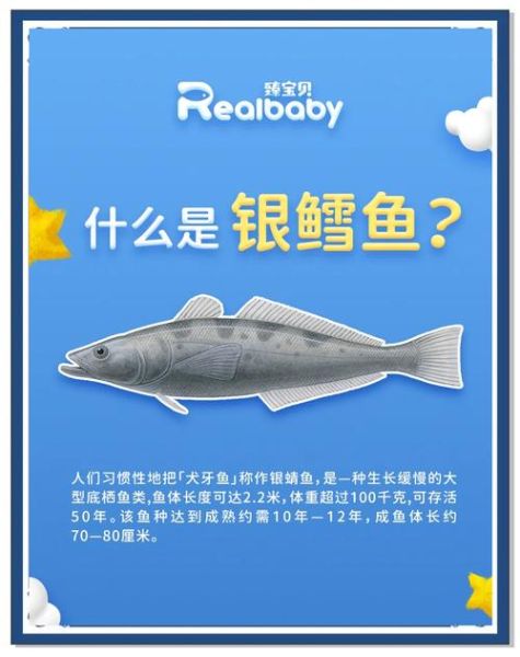 黑鳕鱼和银鳕鱼的区别_哪个更好吃-第3张图片-山城妙识