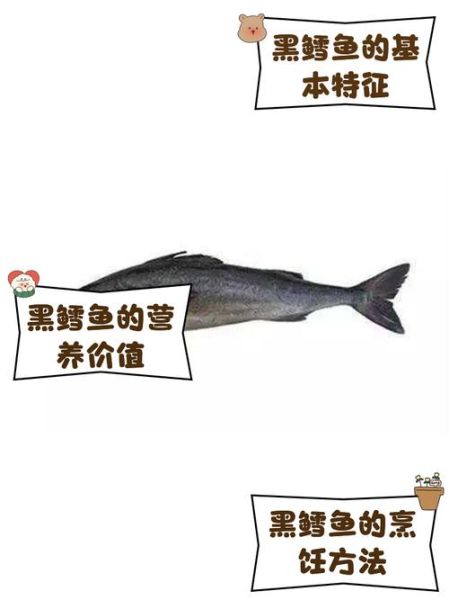 黑鳕鱼和银鳕鱼的区别_哪个更好吃-第1张图片-山城妙识