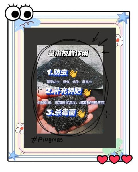 草木灰是什么肥料_草木灰怎么用效果最好-第1张图片-山城妙识