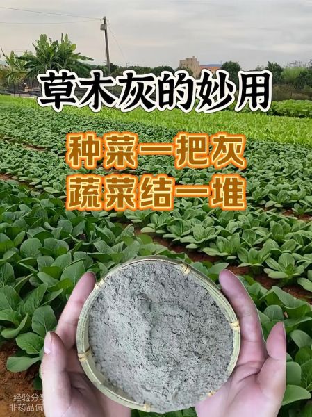草木灰是什么肥料_草木灰怎么用效果最好-第2张图片-山城妙识