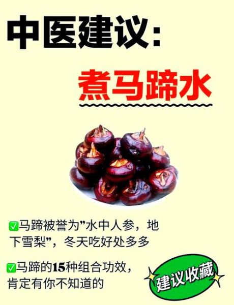马蹄的功效与作用_马蹄能治什么病-第2张图片-山城妙识 马蹄的功效与作用_马蹄能治什么病-第2张图片-山城妙识