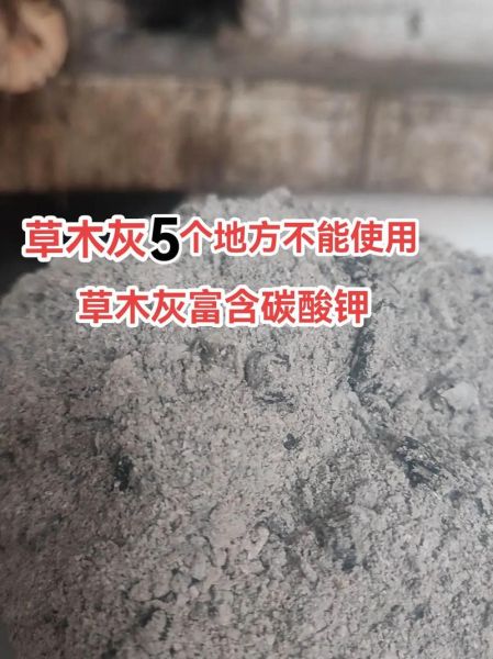 草木灰是什么肥料_草木灰怎么用效果最好-第3张图片-山城妙识
