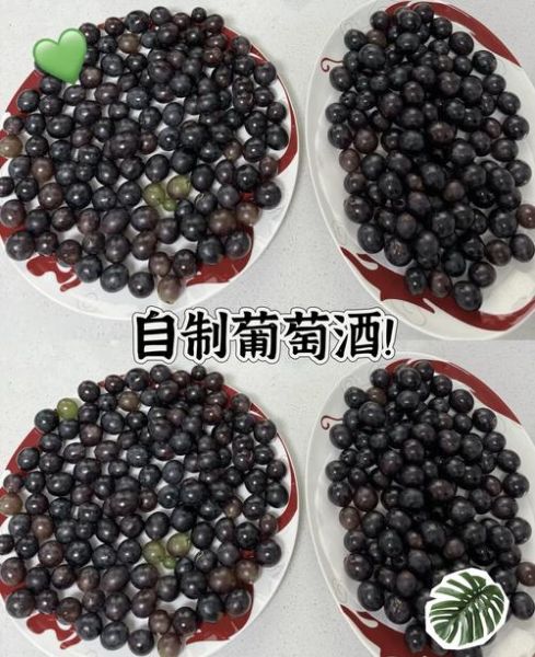 葡萄酒怎么在家做_葡萄酒制作视频教程-第1张图片-山城妙识