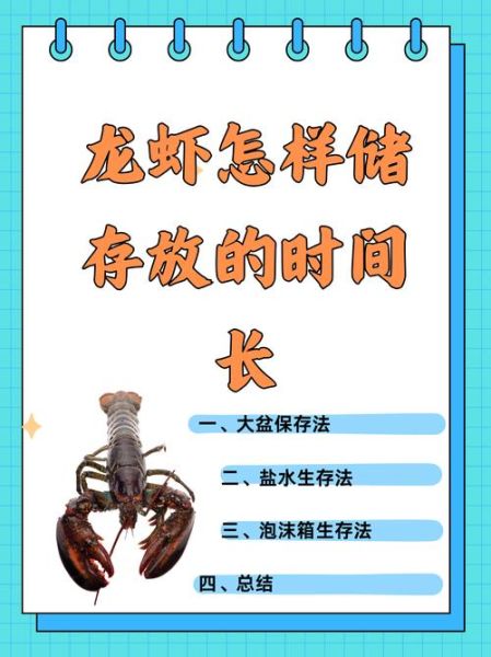 龙虾怎么养_龙虾养殖技术要点-第1张图片-山城妙识 龙虾怎么养_龙虾养殖技术要点-第1张图片-山城妙识