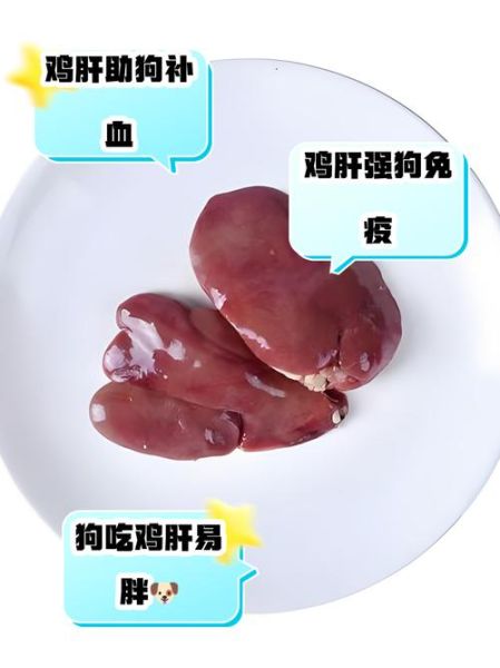 鸡肝为什么那么便宜_鸡肝营养价值高吗-第1张图片-山城妙识