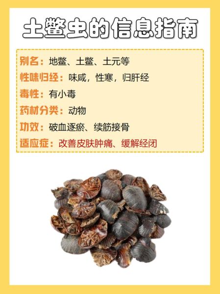 土鳖虫图片_土鳖虫的功效与作用-第1张图片-山城妙识 土鳖虫图片_土鳖虫的功效与作用-第1张图片-山城妙识