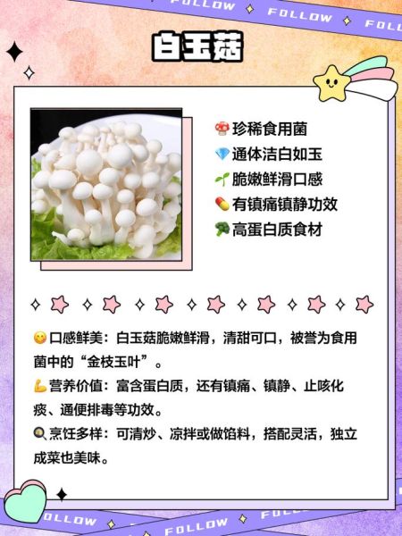 白菇的功效与作用_白菇怎么做好吃-第1张图片-山城妙识