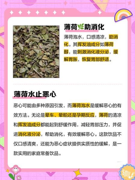 薄荷水可以天天喝吗_薄荷水副作用有哪些-第2张图片-山城妙识