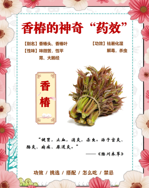 男人吃香椿可以壮阳吗_香椿壮阳是真的吗-第1张图片-山城妙识