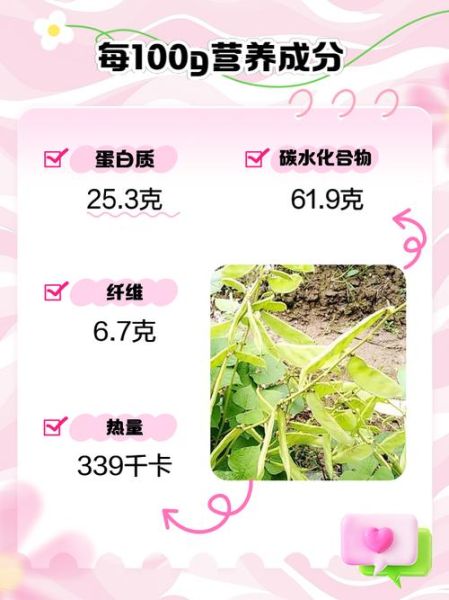 白扁豆长什么样_白扁豆图片大全哪里找-第1张图片-山城妙识 白扁豆长什么样_白扁豆图片大全哪里找-第1张图片-山城妙识