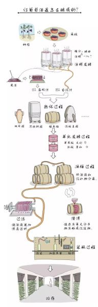 葡萄酒怎么酿造_葡萄酒酿造全过程详解-第1张图片-山城妙识 葡萄酒怎么酿造_葡萄酒酿造全过程详解-第1张图片-山城妙识