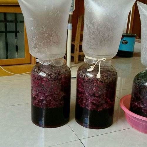 葡萄酒怎么酿造_葡萄酒酿造全过程详解-第3张图片-山城妙识 葡萄酒怎么酿造_葡萄酒酿造全过程详解-第3张图片-山城妙识