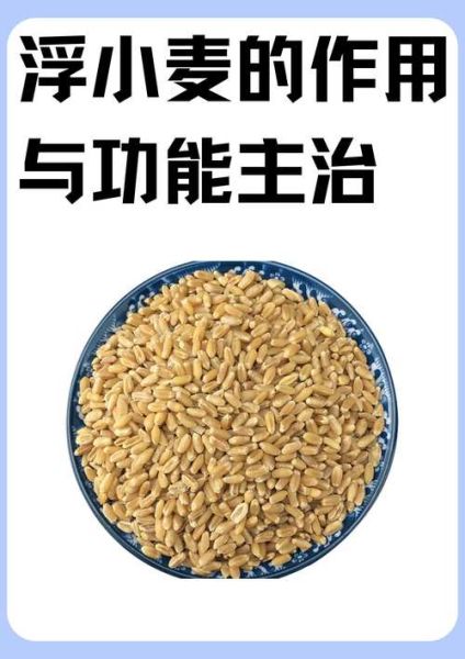 浮小麦的功效与作用_浮小麦和淮小麦的区别-第3张图片-山城妙识 浮小麦的功效与作用_浮小麦和淮小麦的区别-第3张图片-山城妙识