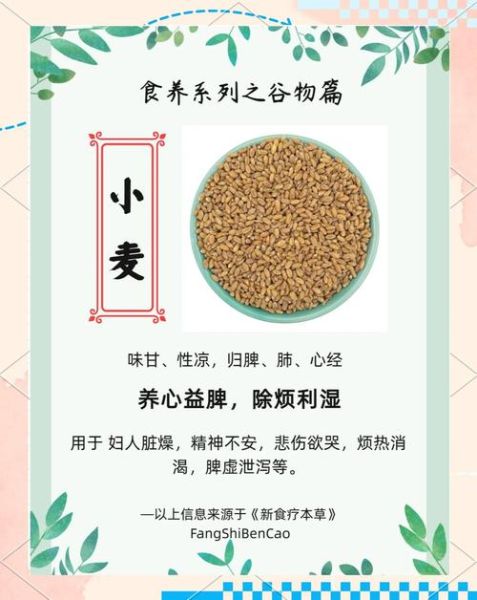 浮小麦的功效与作用_浮小麦和淮小麦的区别-第1张图片-山城妙识 浮小麦的功效与作用_浮小麦和淮小麦的区别-第1张图片-山城妙识