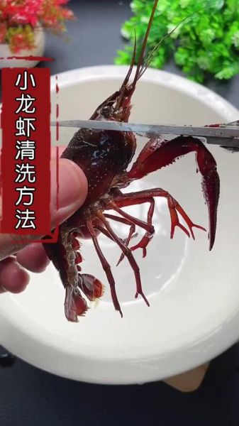 怎样清洗小龙虾又快又干净_小龙虾怎么洗才放心吃-第1张图片-山城妙识