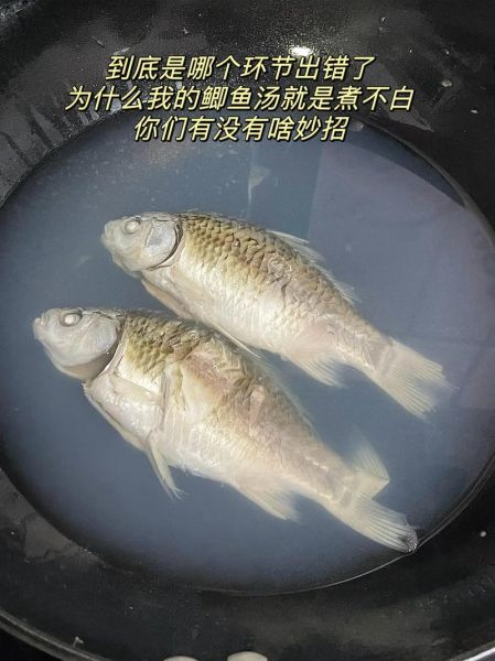 鱼汤怎么做不腥_鱼汤怎么熬才白-第3张图片-山城妙识 鱼汤怎么做不腥_鱼汤怎么熬才白-第3张图片-山城妙识