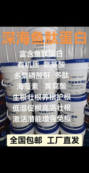 鱼胶原蛋白肽的功效与作用_鱼胶原蛋白肽什么时候吃最好-第2张图片-山城妙识 鱼胶原蛋白肽的功效与作用_鱼胶原蛋白肽什么时候吃最好-第2张图片-山城妙识