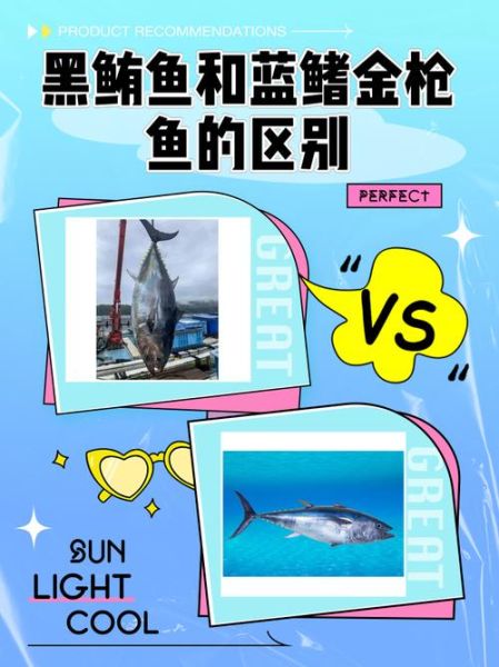 鲭鱼是什么鱼_鲭鱼和金枪鱼区别-第1张图片-山城妙识
