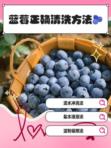 蓝莓怎么洗干净才能吃_蓝莓清洗的正确方法-第1张图片-山城妙识 蓝莓怎么洗干净才能吃_蓝莓清洗的正确方法-第1张图片-山城妙识