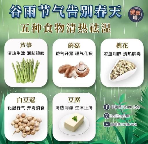 谷雨吃什么传统食物_谷雨节气饮食习俗-第1张图片-山城妙识 谷雨吃什么传统食物_谷雨节气饮食习俗-第1张图片-山城妙识
