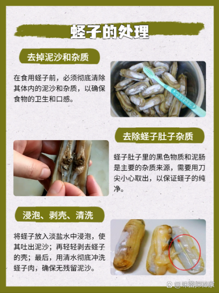 蛏子怎么清洗内脏_蛏子去内脏视频教程-第1张图片-山城妙识