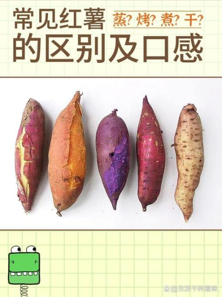 甘薯和红薯的区别是什么_甘薯和红薯哪个更甜-第2张图片-山城妙识 甘薯和红薯的区别是什么_甘薯和红薯哪个更甜-第2张图片-山城妙识