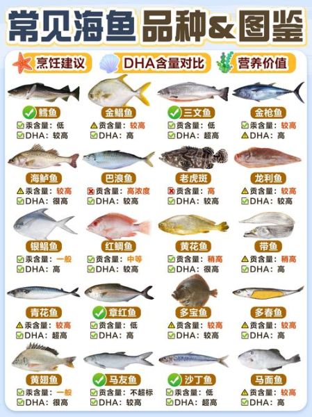 海洋鱼类图鉴大全_如何识别常见海鱼-第2张图片-山城妙识 海洋鱼类图鉴大全_如何识别常见海鱼-第2张图片-山城妙识
