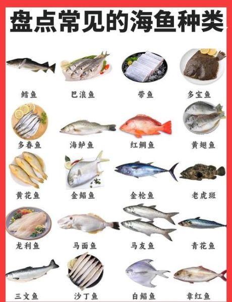 海洋鱼类图鉴大全_如何识别常见海鱼-第1张图片-山城妙识 海洋鱼类图鉴大全_如何识别常见海鱼-第1张图片-山城妙识