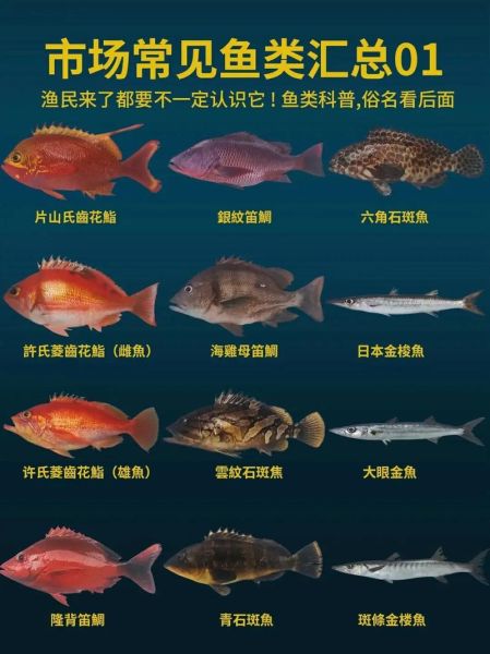 海洋鱼类图鉴大全_如何识别常见海鱼-第3张图片-山城妙识 海洋鱼类图鉴大全_如何识别常见海鱼-第3张图片-山城妙识