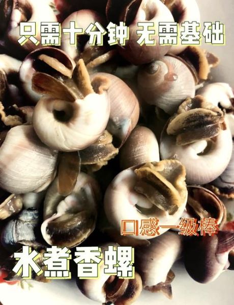 香螺怎么煮_香螺煮多久才熟-第1张图片-山城妙识
