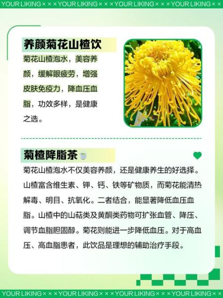山楂枸杞菊花茶的功效与禁忌_什么时候喝最好-第3张图片-山城妙识 山楂枸杞菊花茶的功效与禁忌_什么时候喝最好-第3张图片-山城妙识