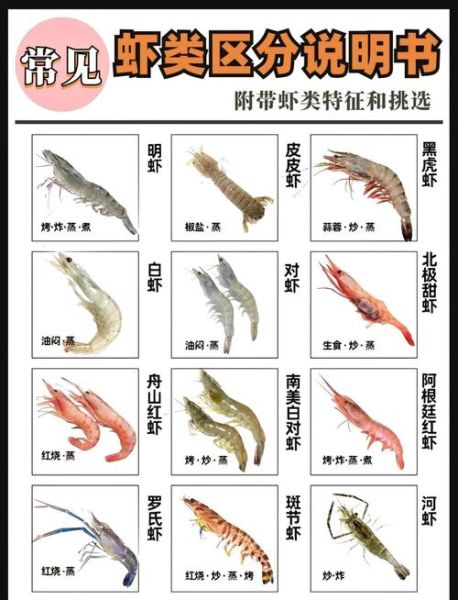 虾的种类大全图解_常见虾品种怎么区分-第1张图片-山城妙识