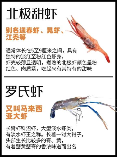虾的种类大全图解_常见虾品种怎么区分-第2张图片-山城妙识