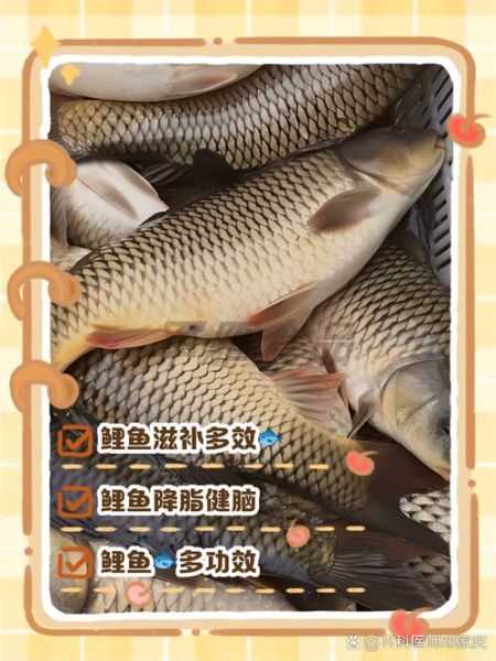 鲤鱼打挺疼怎么办_鲤鱼打挺后腰疼原因-第2张图片-山城妙识
