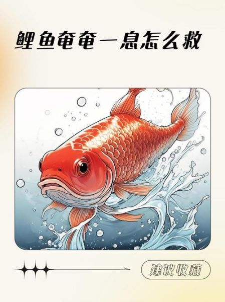 鲤鱼打挺疼怎么办_鲤鱼打挺后腰疼原因-第1张图片-山城妙识