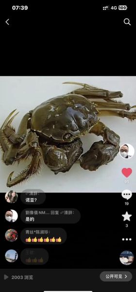 六月黄大闸蟹怎么挑选_六月黄和阳澄湖大闸蟹区别-第3张图片-山城妙识 六月黄大闸蟹怎么挑选_六月黄和阳澄湖大闸蟹区别-第3张图片-山城妙识