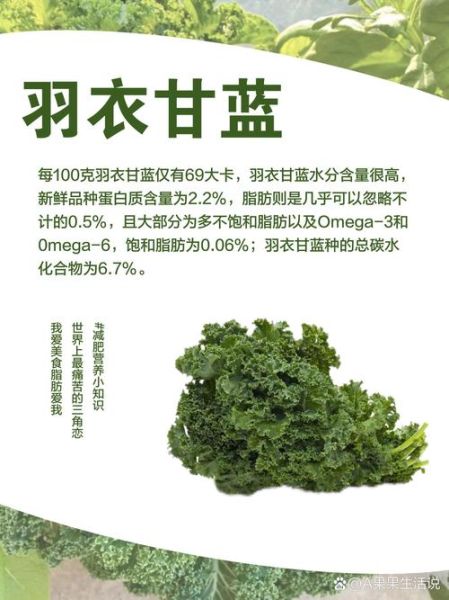 羽衣甘蓝可以冷冻保存吗_冷冻后营养会流失吗-第1张图片-山城妙识