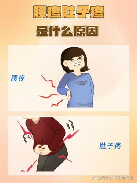 鲤鱼打挺疼怎么办_鲤鱼打挺后腰疼原因-第3张图片-山城妙识