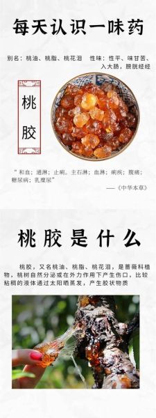 桃胶的功效与作用有哪些_桃胶的营养价值高吗-第1张图片-山城妙识