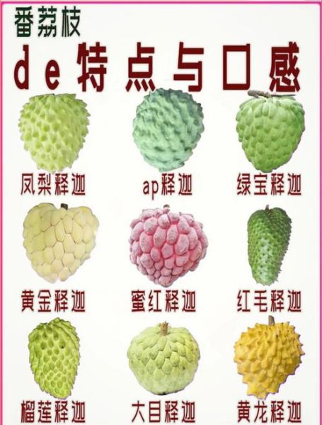 释迦果怎么吃有什么好处_释迦果的功效与作用-第3张图片-山城妙识