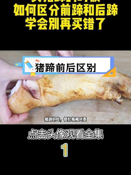 蹄膀是哪个部位_猪前腿还是后腿-第1张图片-山城妙识 蹄膀是哪个部位_猪前腿还是后腿-第1张图片-山城妙识