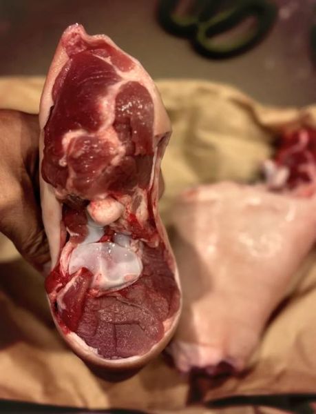 蹄膀是哪个部位_猪前腿还是后腿-第3张图片-山城妙识 蹄膀是哪个部位_猪前腿还是后腿-第3张图片-山城妙识