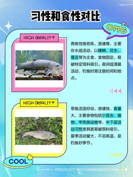 草鱼和青鱼哪个好吃_口感区别在哪里-第2张图片-山城妙识