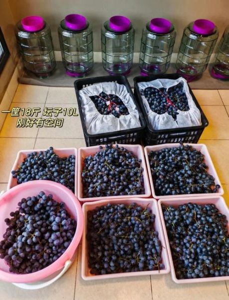 如何在家自酿葡萄酒_自酿葡萄酒需要哪些材料-第1张图片-山城妙识