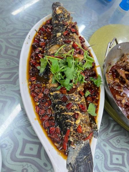 黑鱼怎么做好吃_黑鱼做法大全视频-第2张图片-山城妙识 黑鱼怎么做好吃_黑鱼做法大全视频-第2张图片-山城妙识