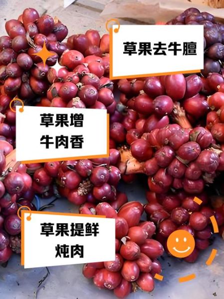 香果和草果的区别_香果和草果哪个更适合炖肉-第2张图片-山城妙识 香果和草果的区别_香果和草果哪个更适合炖肉-第2张图片-山城妙识